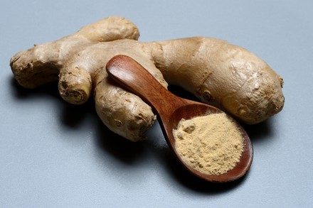 Ginger Zingiber Officinale Ginger Bulb Ginger Editorial Stock Photo ...