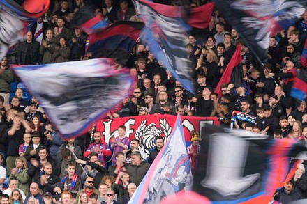 Crystal Palace Ultra Fans Editorial Stock Photo - Stock Image ...