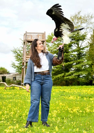 wildlife tv presenter zoologist megan mccubbin hawk Stockfotos ...