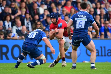 Sale Sharks Co Owner Michelle Orange Editorial Stock Photo - Stock ...