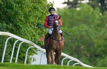 sandown races Stock Photos (Exclusive) | Shutterstock
