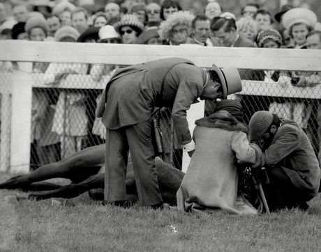 Royal Ascot Horse Racing 1971 Racehorse Editorial Stock Photo - Stock ...