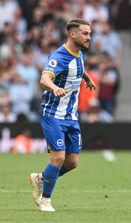 Alexis Mac Allister Brighton Hove Albion Editorial Stock Photo - Stock Image | Shutterstock
