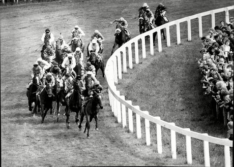 500 Seventies horseracing Stock Pictures, Editorial Images and Stock ...
