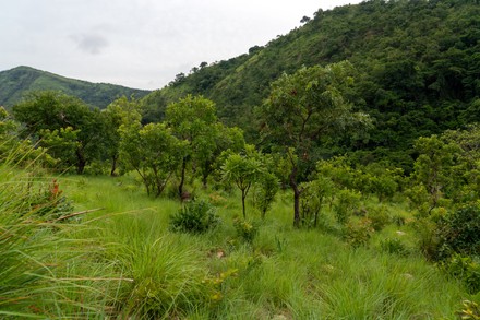 Lush Tropical Forests On Akwapimtogo Ranges – Photo éditoriale de stock ...