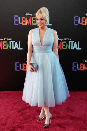 Wendi Mclendon Covey Body
