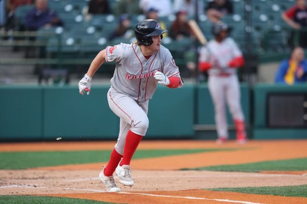 2,000 Baseball bats Stock Pictures, Editorial Images and Stock Photos ...