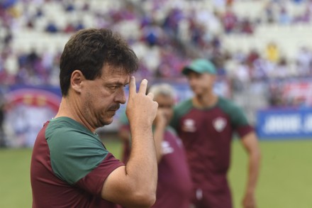 750 Brazilian football manager Stock Pictures, Editorial Images and ...