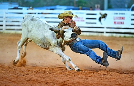 Cowboy Rides During Saddlebronc Event Broken Editorial Stock Photo ...