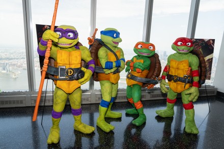 Donatello Leonardo Michelangelo Raphael Ninja Turtle Editorial Stock ...