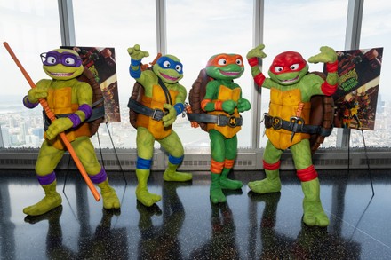Donatello Leonardo Michelangelo Raphael Ninja Turtle Editorial Stock ...