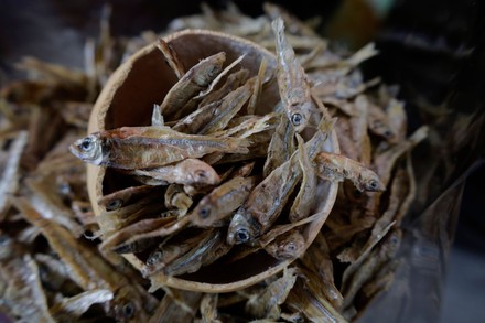 View Dried Charales Stand During Prehispanic Editorial Stock Photo ...
