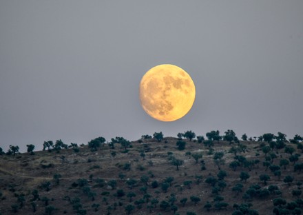 250 First supermoon 2023 Stock Pictures, Editorial Images and Stock Photos | Shutterstock
