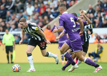 Newcastle Uniteds Sandro Tonali During Sela Editorial Stock Photo ...