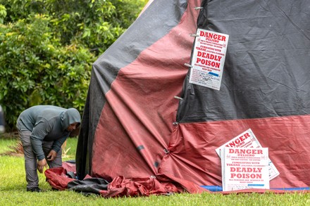 Orkin Pest Control Technician Installs Tent Editorial Stock Photo ...