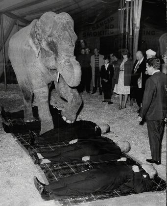 Billy Smarts Circus Where Burma Elephant Editorial Stock Photo - Stock ...