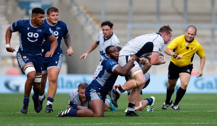 Ben Bamber Sale Sharks On Attack Editorial Stock Photo - Stock Image ...