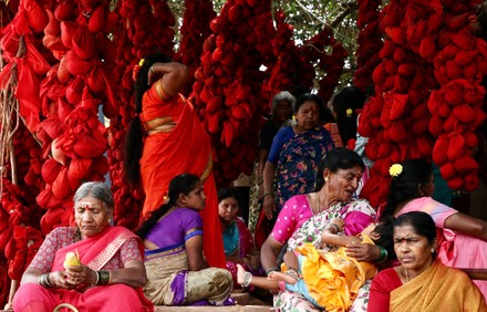Hindu Devotee Brings Coconut Offering Wrapped Editorial Stock Photo ...
