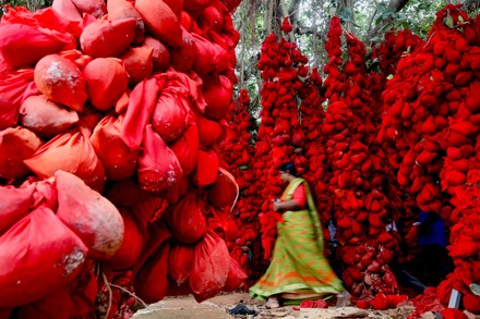 Hindu Devotee Brings Coconut Offering Wrapped Editorial Stock Photo ...