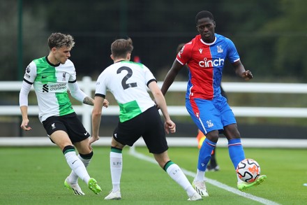 3,000 Crystal palace academy training ground Stock Pictures, Editorial ...