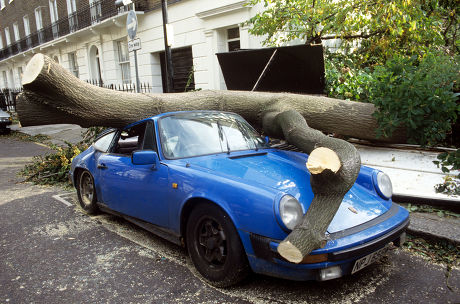 Tree Fallen On Porsche Car Editorial Stock Photo - Stock Image ...