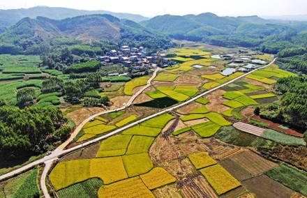 2,000 Chinese farming Stock Pictures, Editorial Images and Stock Photos ...