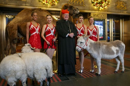 His Eminence Timothy Cardinal Dolan C Editorial Stock Photo - Stock ...