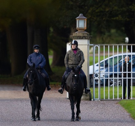 prince andrew rides long walk windsor Stock Photos (Exclusive ...