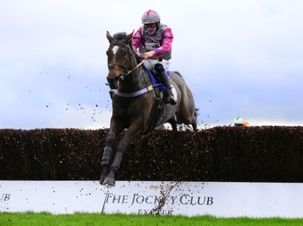 exeter races Stock Photos (Exclusive) | Shutterstock