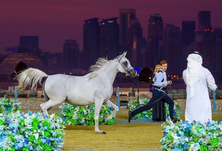 Bint Sultan Owned By Al Adeed Editorial Stock Photo - Stock Image ...