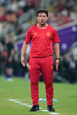 750 Brazilian football manager Stock Pictures, Editorial Images and ...