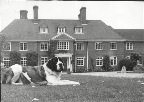 Norcott Hall Northchurch Berkhampstead St Bernard Editorial Stock Photo ...