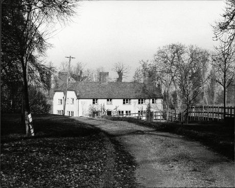 40 Rooks farm Stock Pictures, Editorial Images and Stock Photos ...