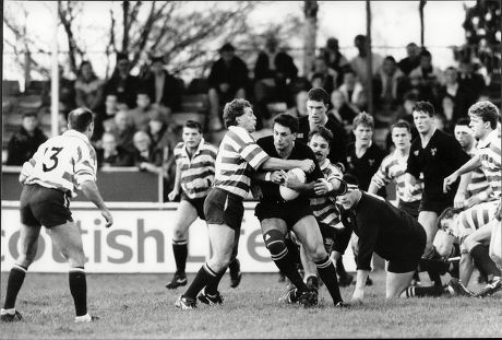 Rugby Union Wasps V Roslyn Park Editorial Stock Photo - Stock Image ...