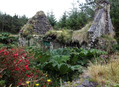 Ireland Stock Pictures, Editorial Images and Stock Photos | Shutterstock