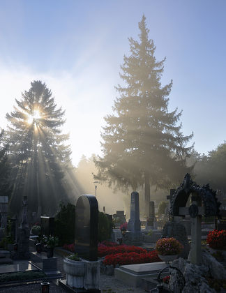 250 Burial trees Stock Pictures, Editorial Images and Stock Photos ...