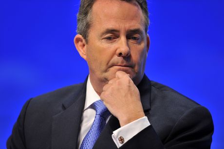 Liam Fox Secretary State Defence Editorial Stock Photo - Stock Image ...