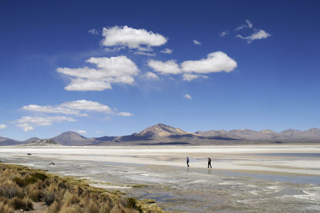People Grasses Vegetation Steppe Open Plain Editorial Stock Photo ...