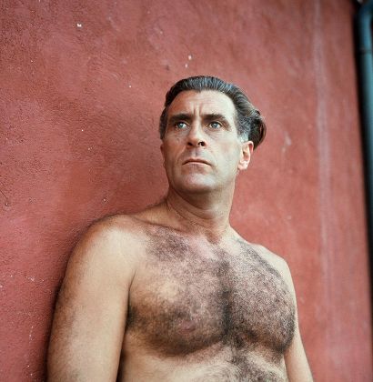 70 Nigel green Stock Pictures, Editorial Images and Stock Photos | Shutterstock