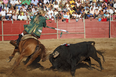 Bullfight at Mafra, Portugal - 24 Sep 2011 Stock Pictures, Editorial ...