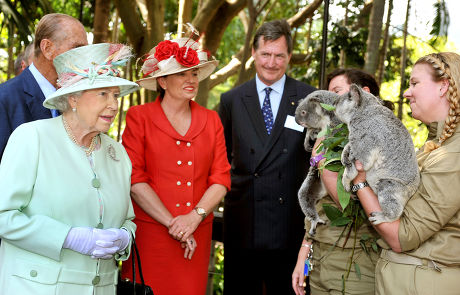 queen elizabeth ii animals Stock Photos (Exclusive) | Shutterstock