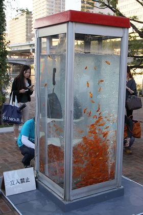 Gold Fish Tank Made Out Phone Editorial Stock Photo - Stock Image ...