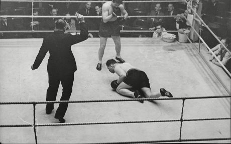 Boxing Jock Mcavoy Knocks Out Jack Editorial Stock Photo - Stock Image ...