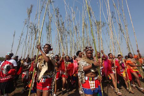 Princess Mbali Zulu During Annual Reed : photos éditoriales de stock ...