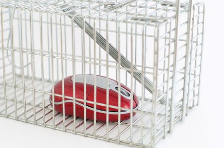 Mouse Trap Computer Mouse Caught Trap Editorial Stock Photo - Stock ...