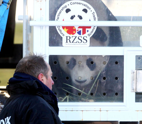 __COUNT__ FedEx Panda Express, Edinburgh Airport, Scotland, Britain ...
