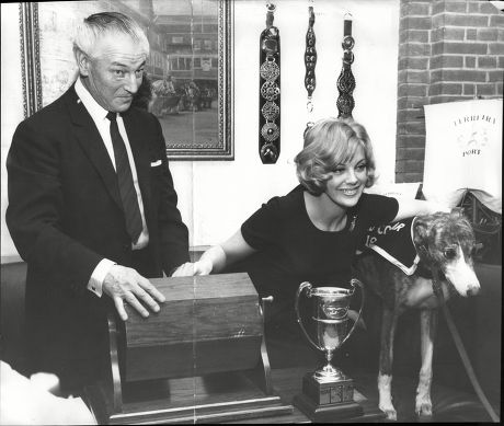 Aimi Macdonald Actress Major Percy Brown Editorial Stock Photo - Stock ...