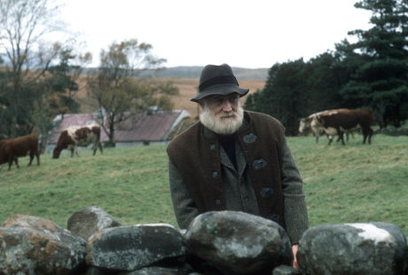Richard Harris Bull Mccabe Editorial Stock Photo - Stock Image ...