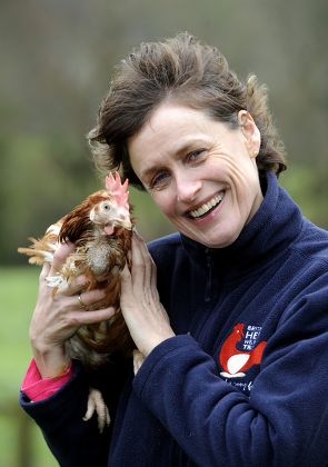 Jane Howarth Chicken Liberty Editorial Stock Photo - Stock Image ...