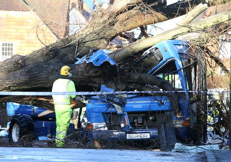 Bus Which Crushed By Falling Tree Editorial Stock Photo - Stock Image ...
